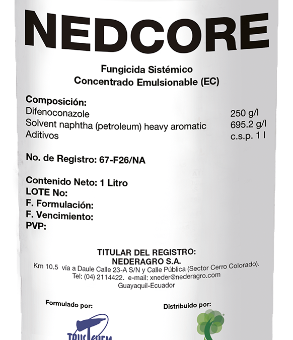 Nedcore | Nederagro S. A.